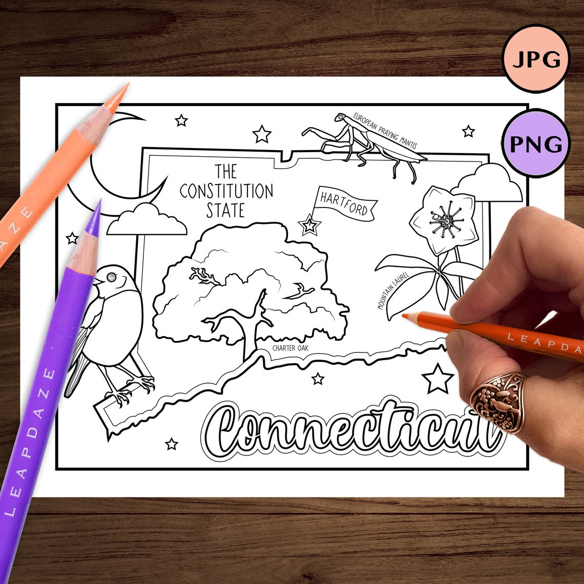 CONNECTICUT Coloring Page With State Facts - Printable United States of ...