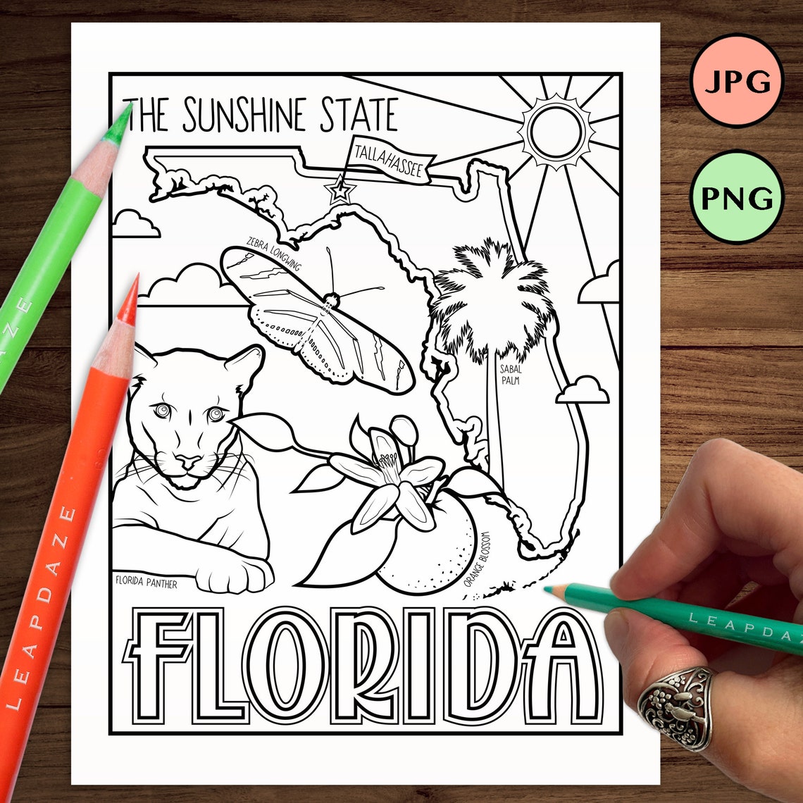 FLORIDA Printable Coloring Page With State Facts - United States of ...