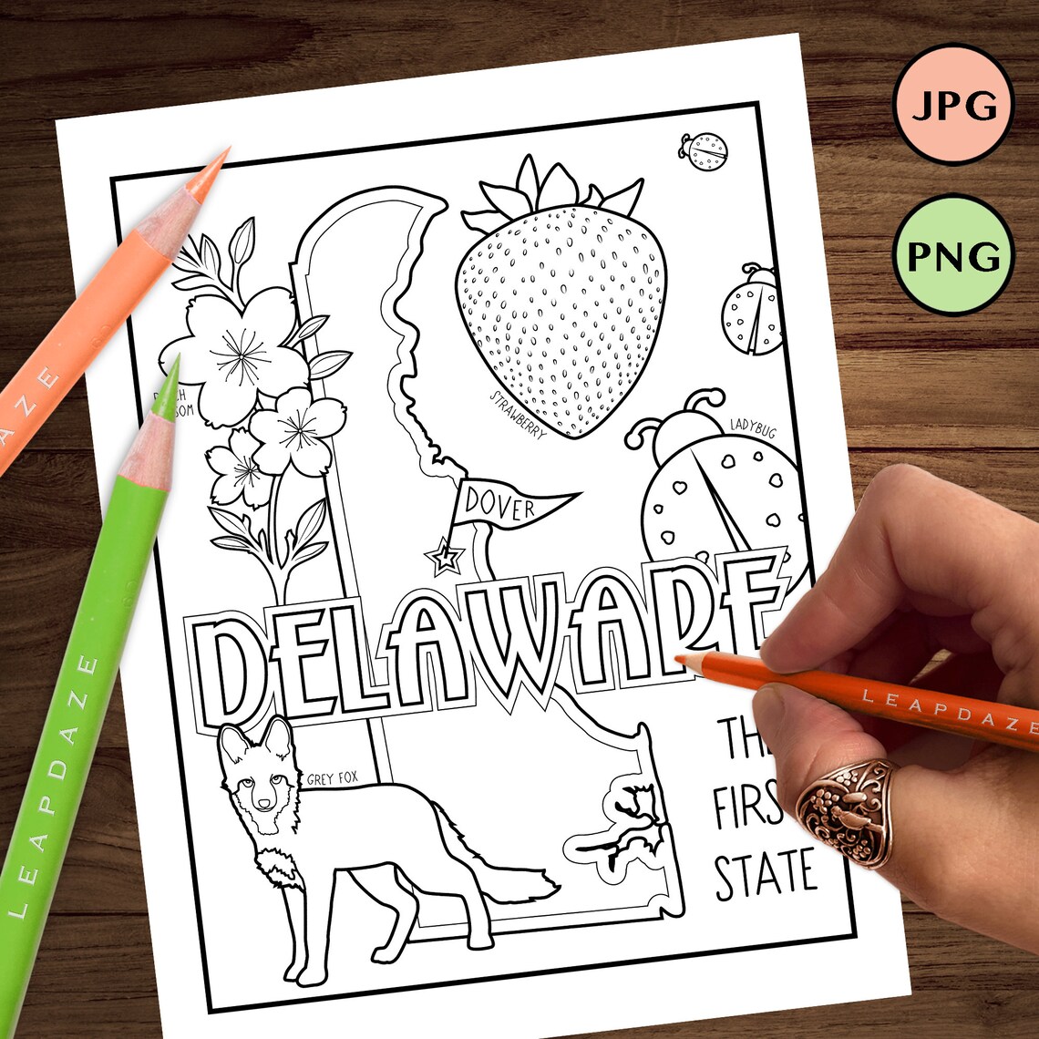 DELAWARE Coloring Page With State Facts - Printable United States of ...