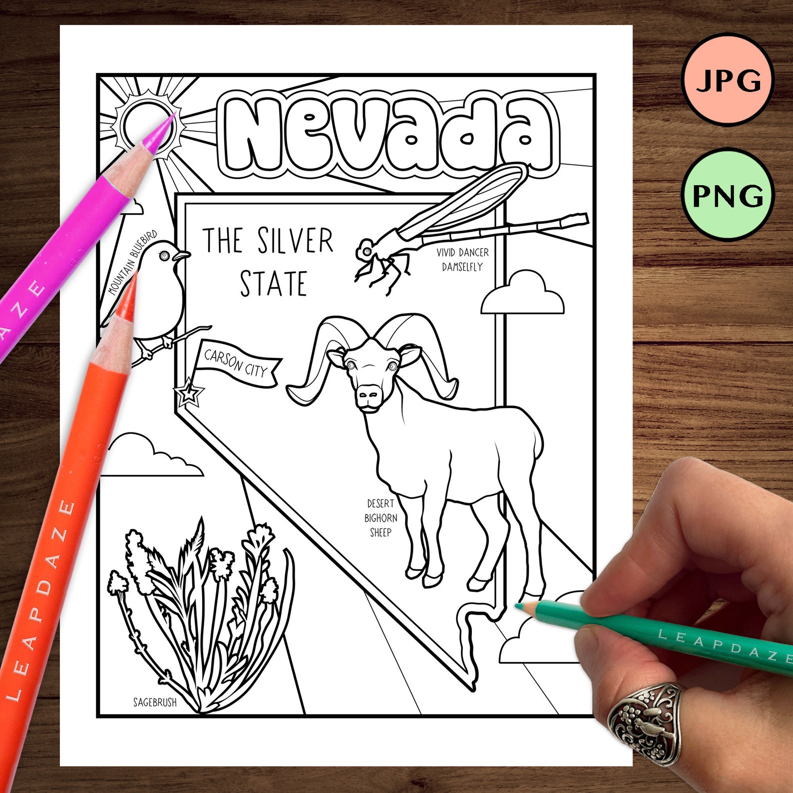 NEVADA Coloring Page With State Facts - Printable United States of ...