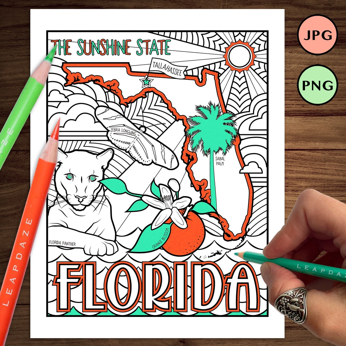 FLORIDA Printable Coloring Page With State Facts - United States of ...