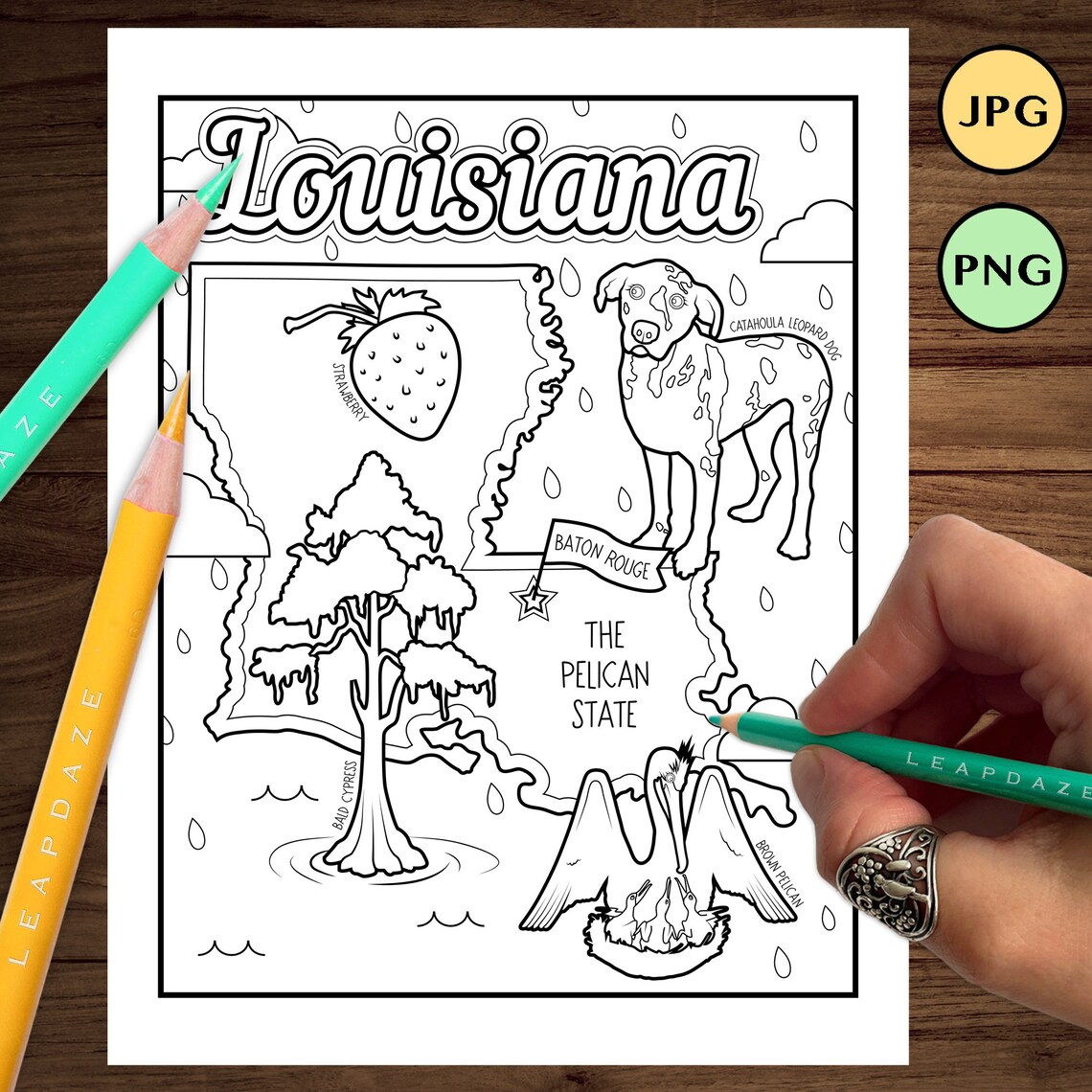 LOUISIANA Coloring Page With State Facts - Printable United States of ...