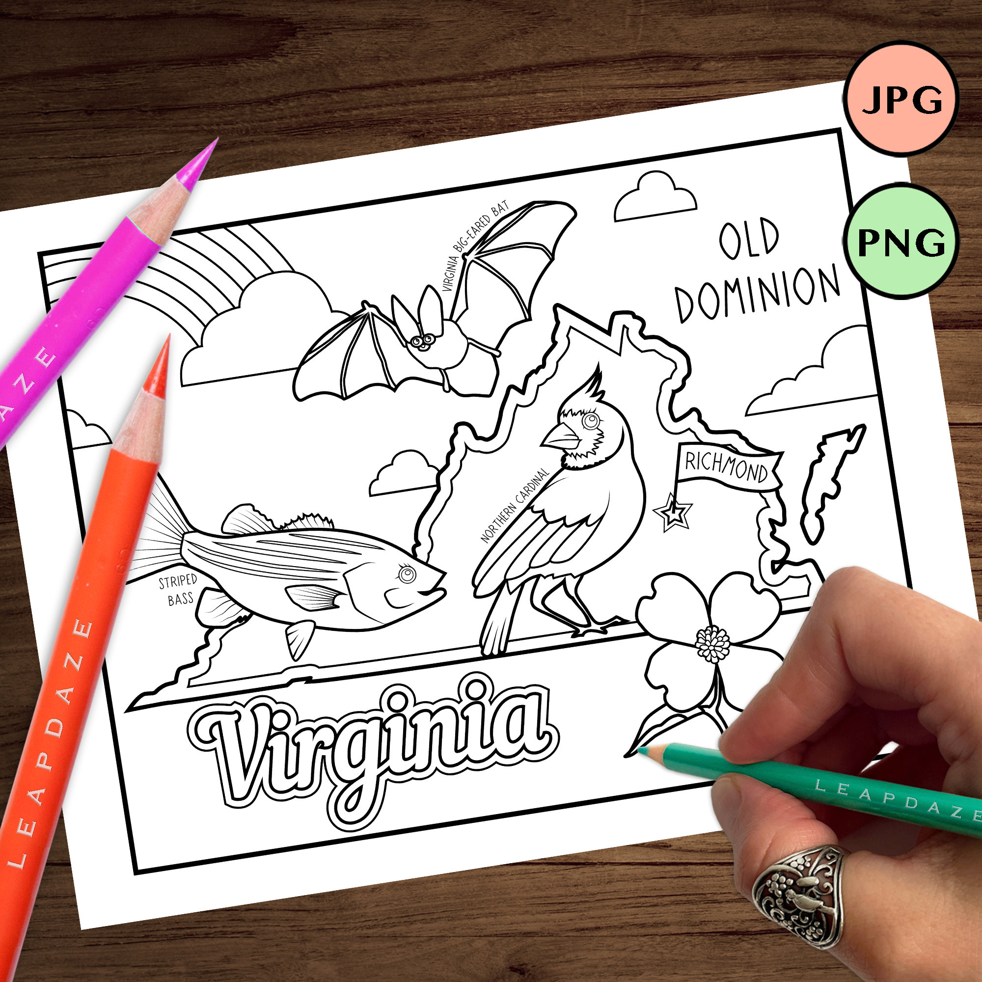 VIRGINIA Coloring Page With State Facts - Printable United States of ...
