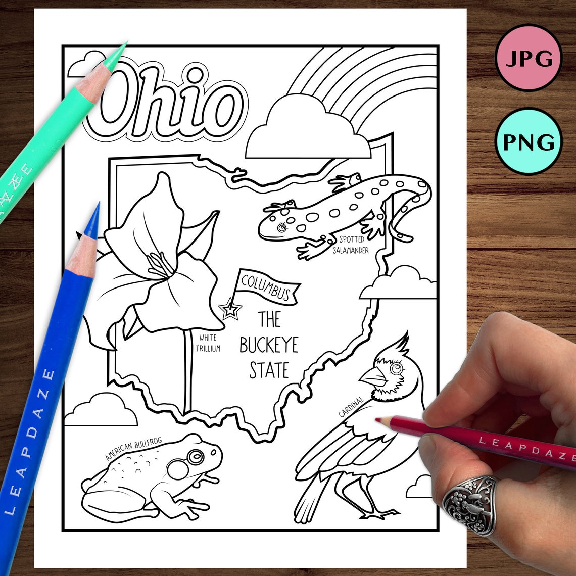 OHIO Coloring Page With State Facts - Printable United States of ...
