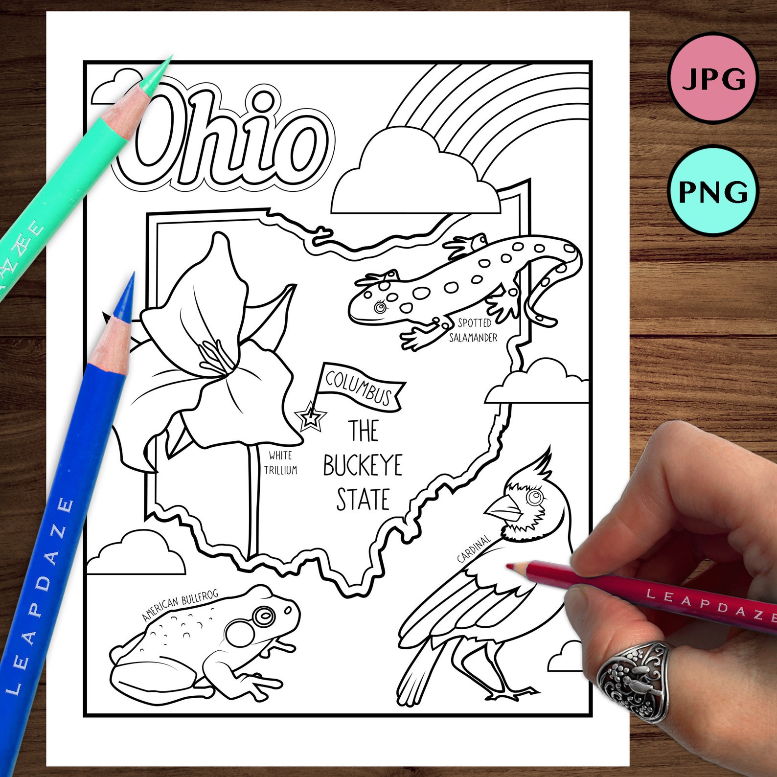 OHIO Coloring Page With State Facts - Printable United States of ...
