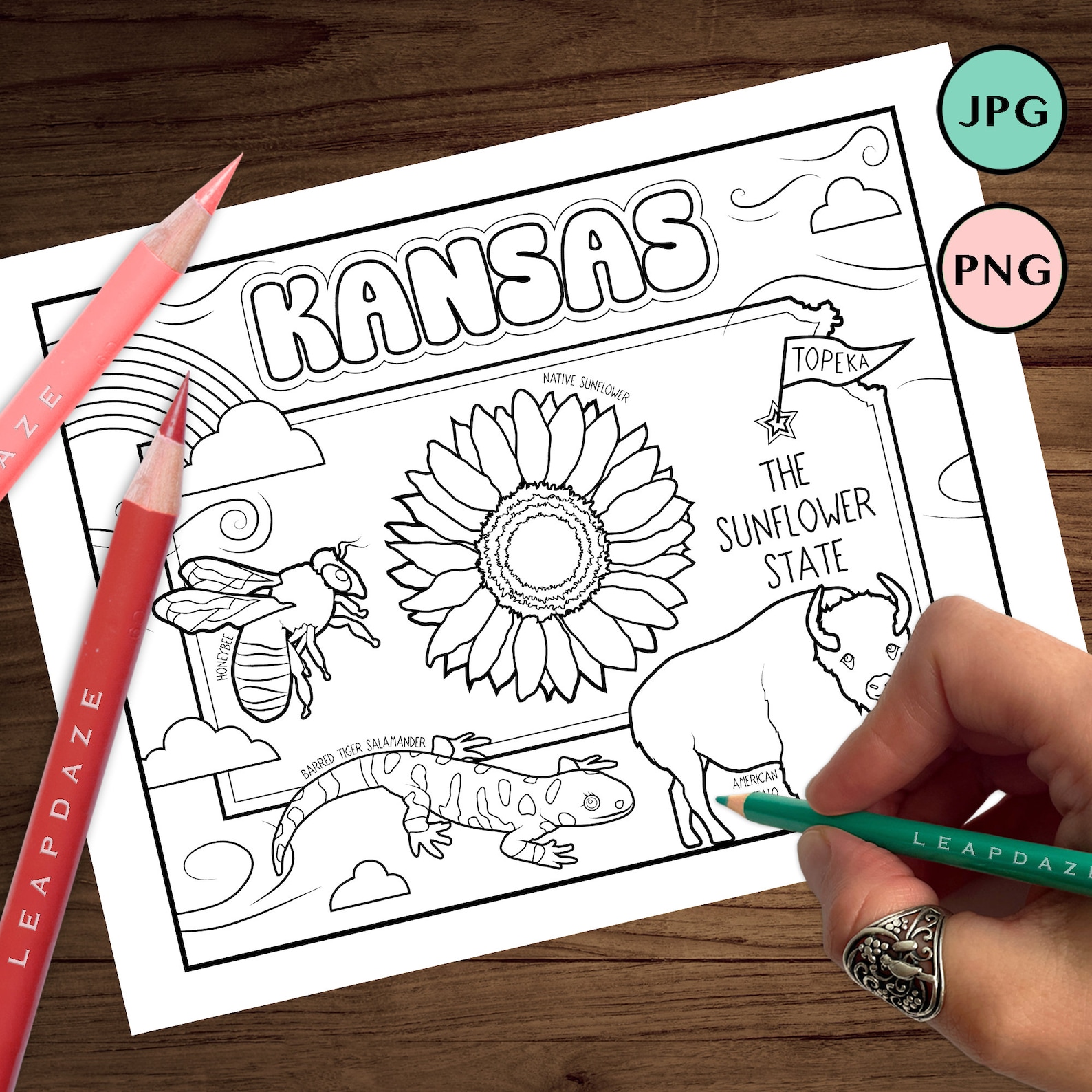 KANSAS Coloring Page With State Facts - Printable United States of ...