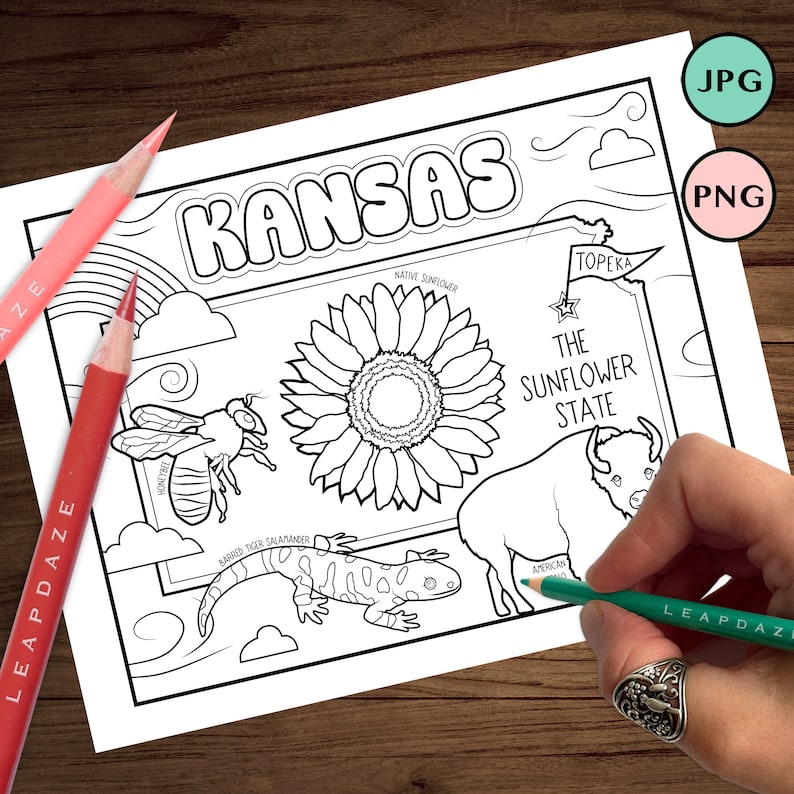 KANSAS Coloring Page With State Facts - Printable United States of ...