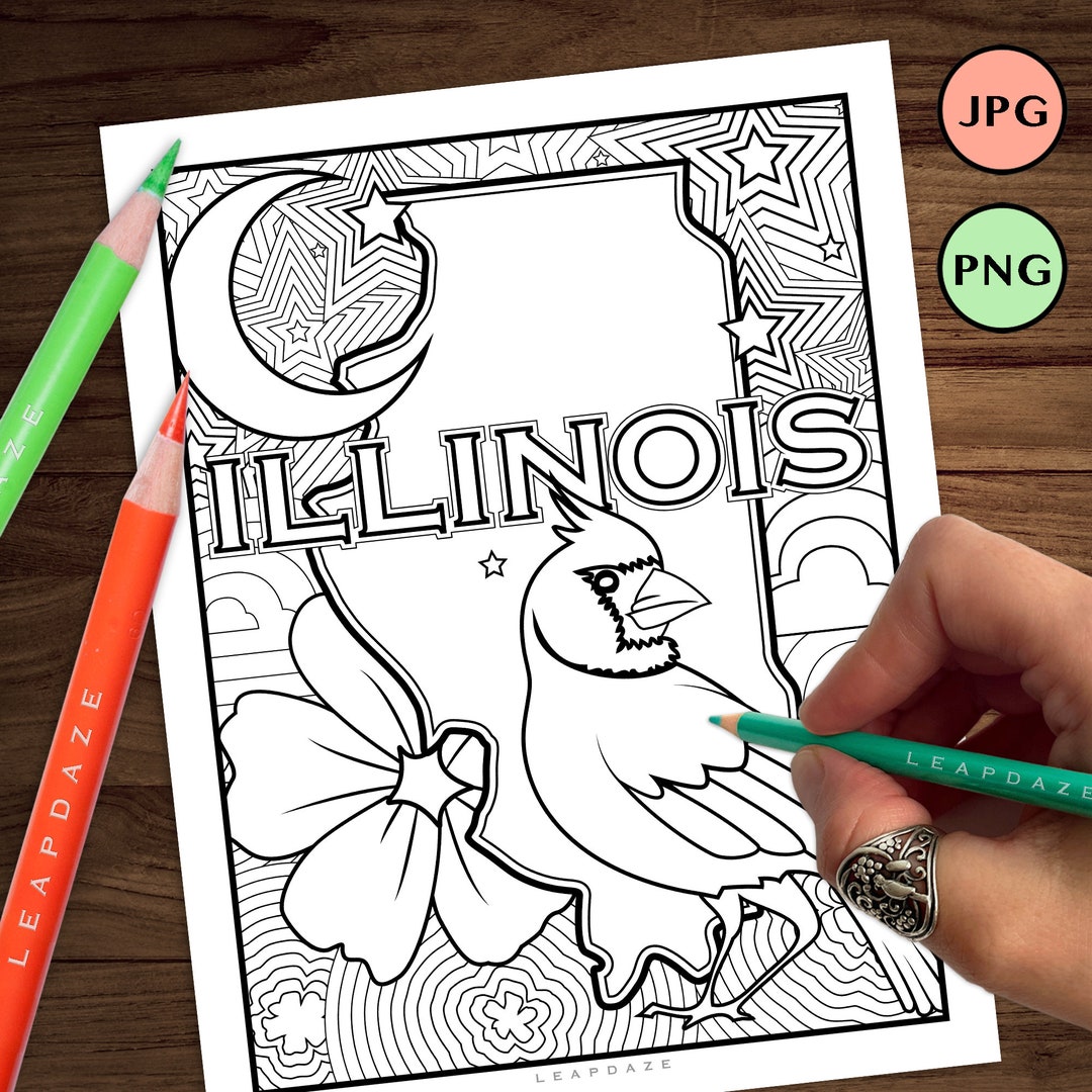 ILLINOIS Coloring Page With State Flower and Bird United States of ...