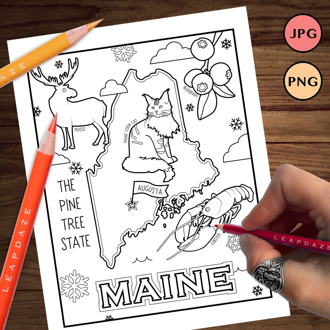 MAINE Coloring Page With State Facts - Printable United States of ...