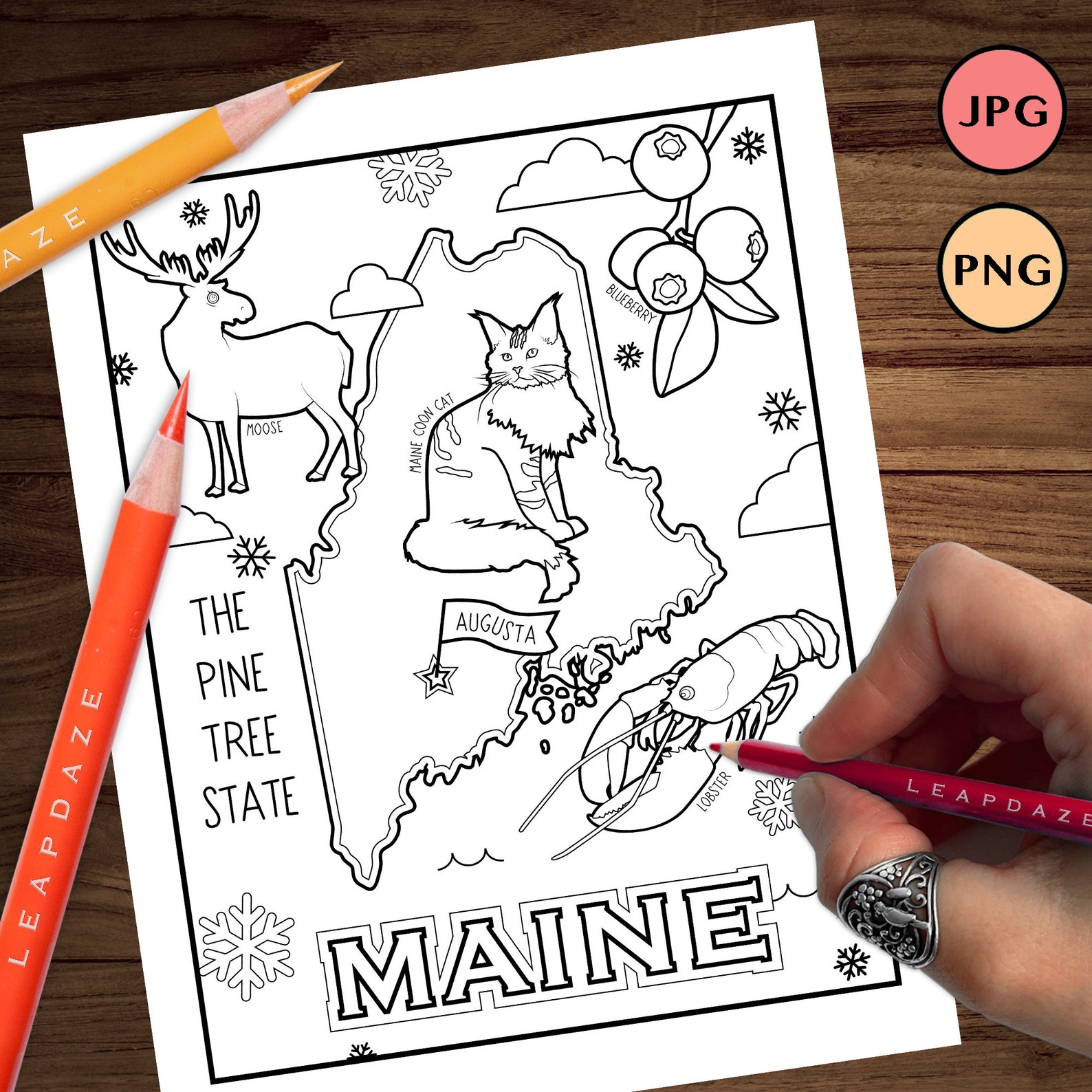 MAINE Coloring Page With State Facts - Printable United States of ...