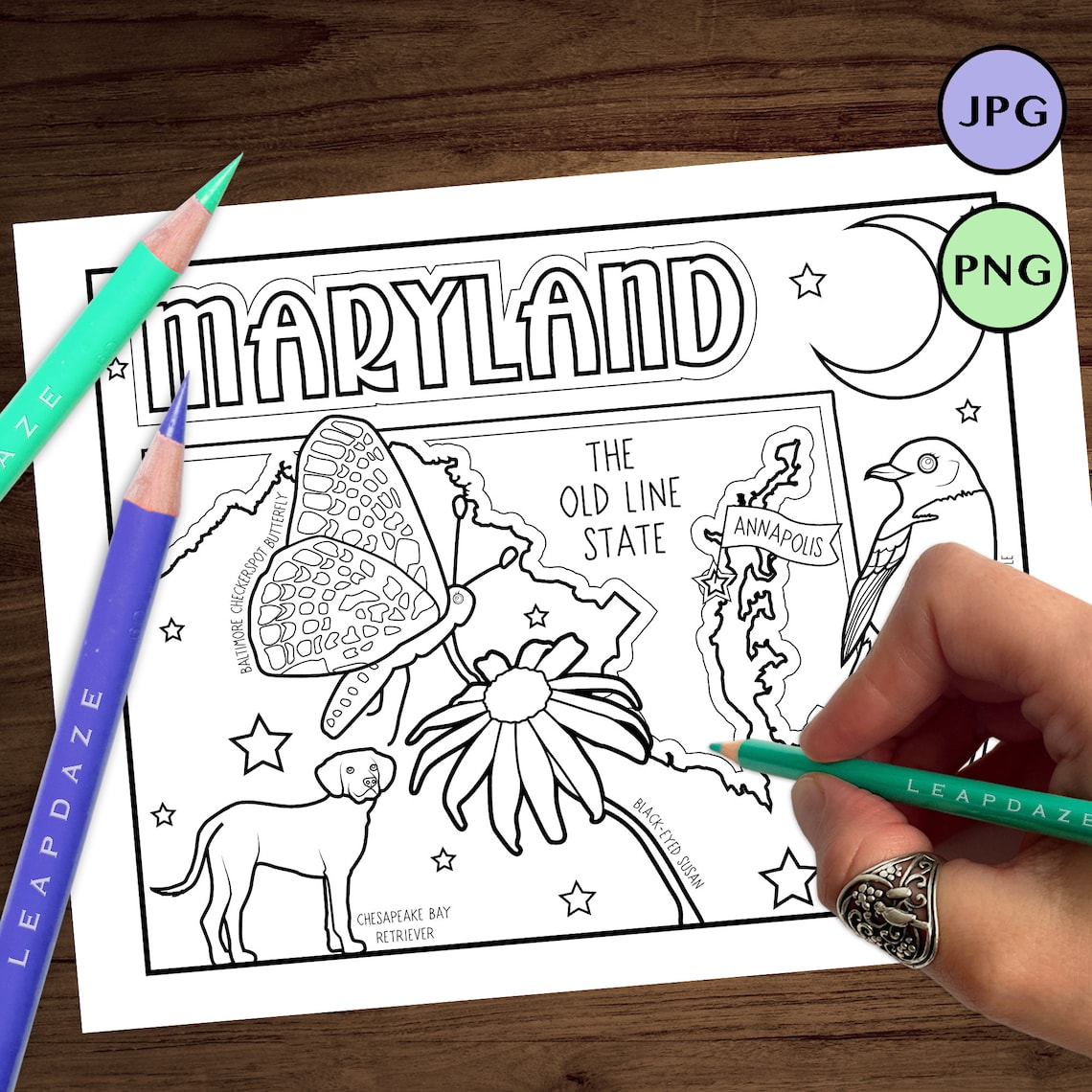 MARYLAND Coloring Page With State Facts - Printable United States of ...