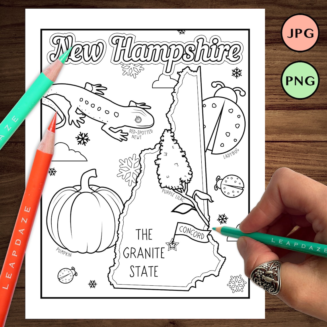NEW HAMPSHIRE Coloring Page With State Facts - Printable United States ...