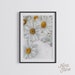 Daisy Art Scribble Portrait - Etsy
