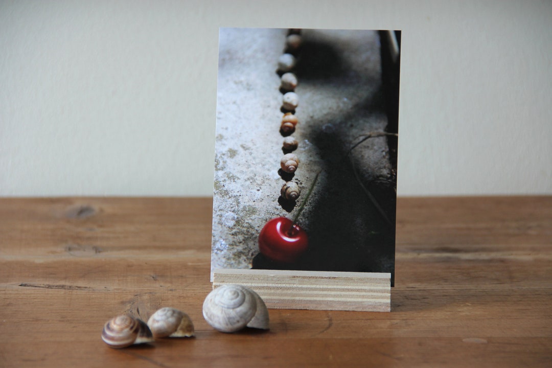 Land-art: Photo Postcard With Wooden Card Holder - Etsy