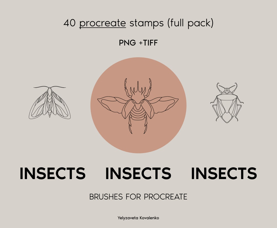 Procreate Brush Set | 40 Insect Stamp Brushes for Procreate, Linear Art ...