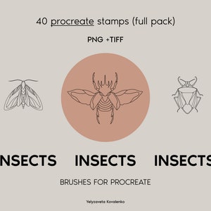 Procreate Brush Set | 40 Insect Stamp Brushes for Procreate, Linear Art ...