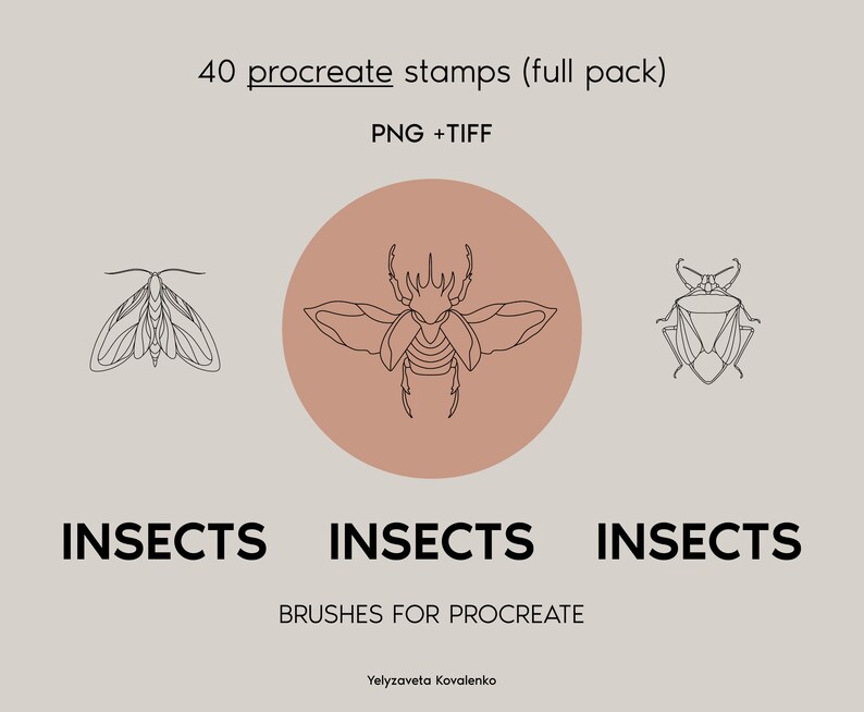Procreate Brush Set | 40 Insect Stamp Brushes for Procreate, Linear Art ...