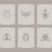 Procreate Brush Set | 40 Insect Stamp Brushes for Procreate, Linear Art ...