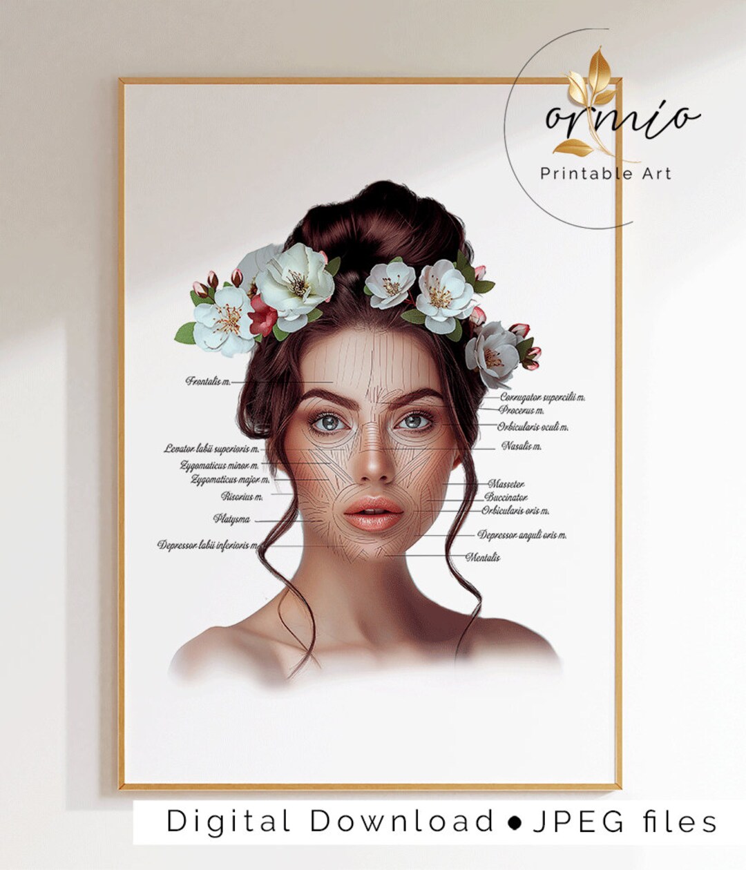 Anatomy Poster, Facial Muscles Print, Medical Wall Art, Beauty Clinic ...