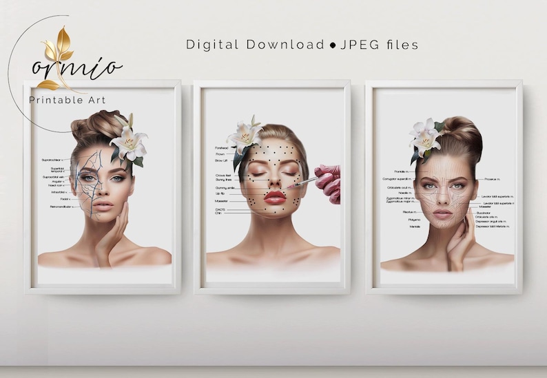 Facial Anatomy Poster Set, Facial Veins, Muscles and Botox Points ...