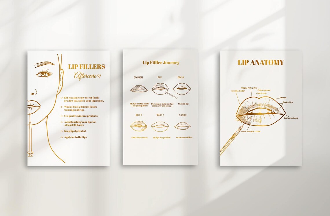 Lip Filler Poster Set: Aftercare, Journey, Anatomy (digital Download ...