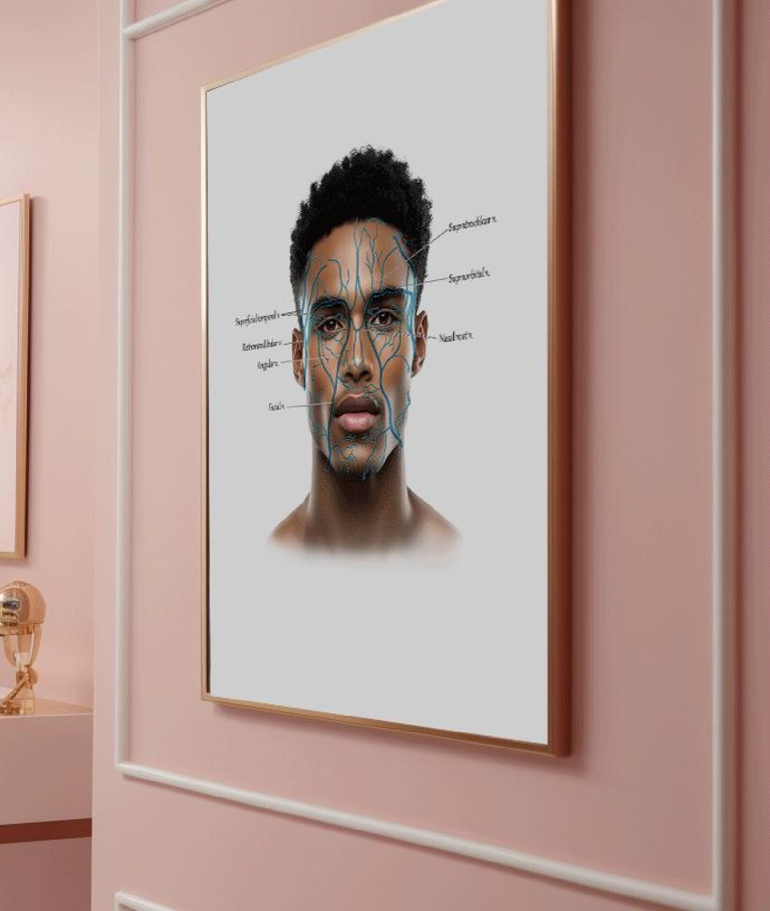 Black Male Face Anatomy Art: Veins, Arteries & Botox Injection Chart ...