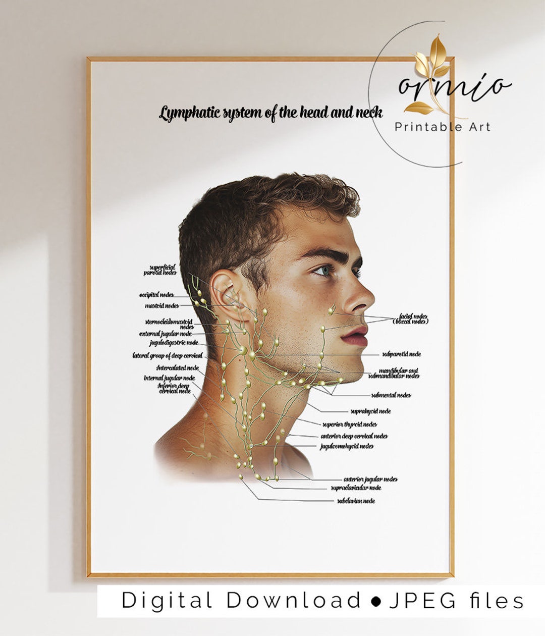 Face Lymphatic System Print, Massage Therapist Decor, Esthetician Gift ...