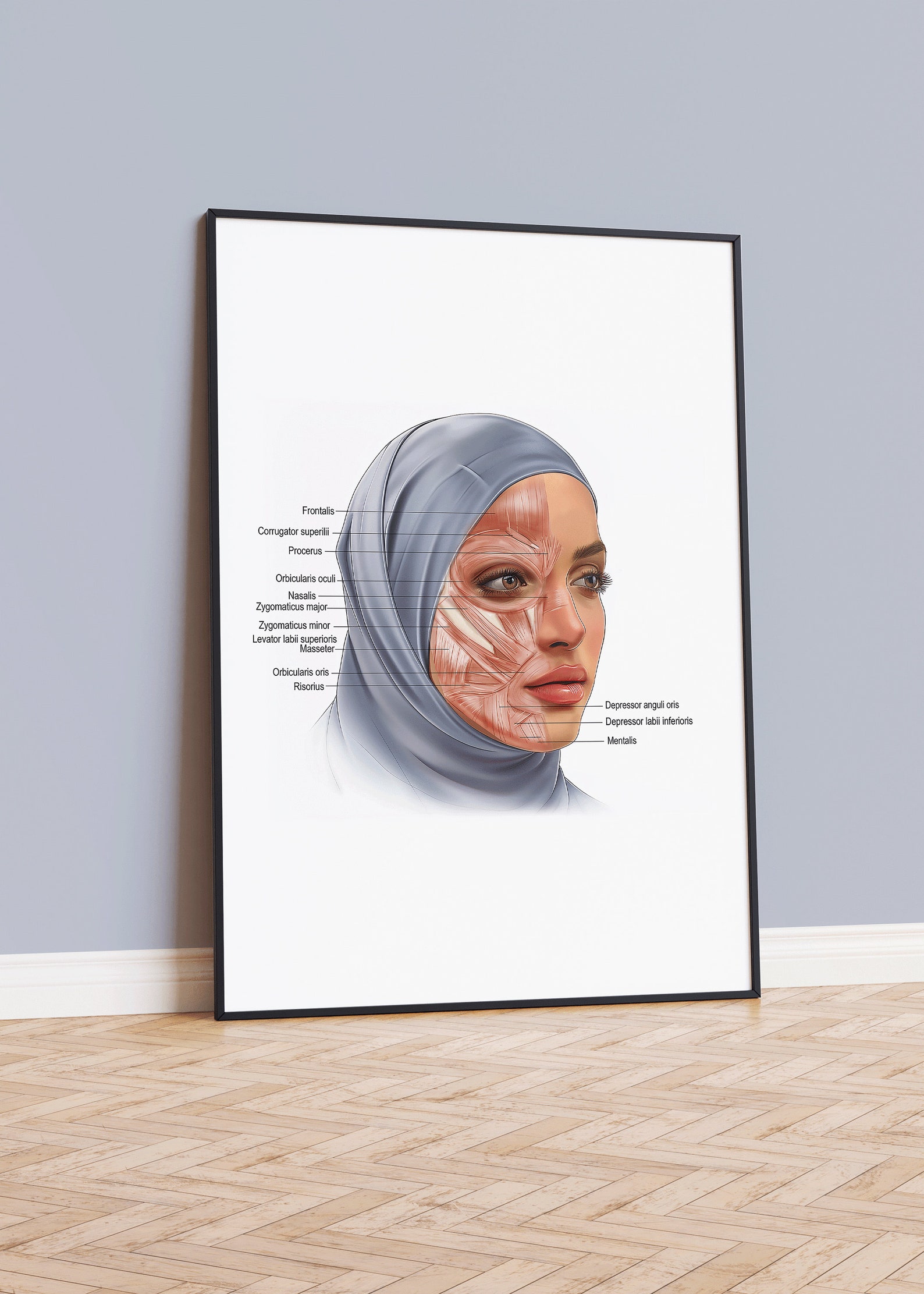 Facial Muscles Art, Botox Filler Injector Art, Facial Anatomy Art ...