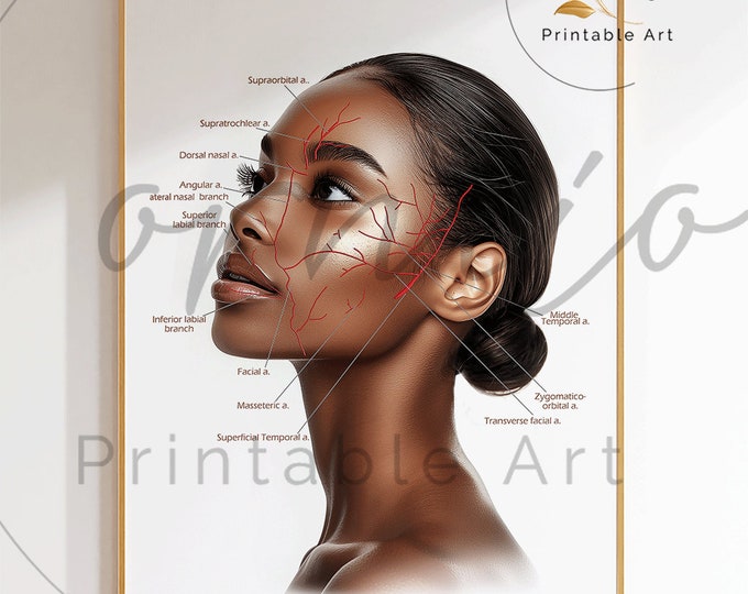 Signs of Facial Aging Rolled Poster, Med Spa Poster, Esthetician Wall ...