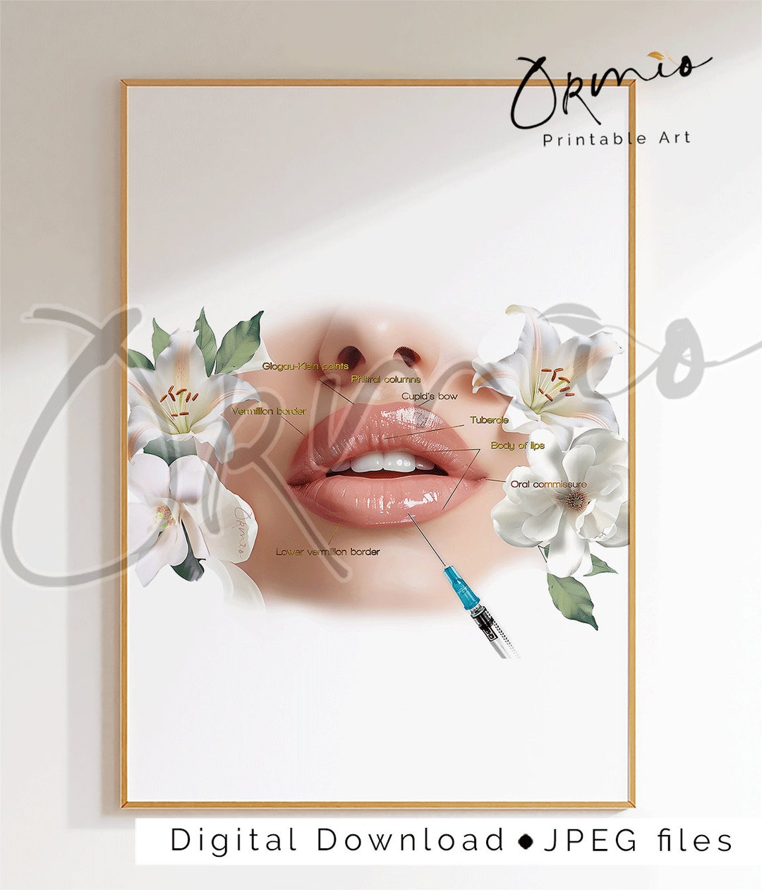 Lip Anatomy Poster, Printable Lip Anatomy, Esthetician Office Decor ...