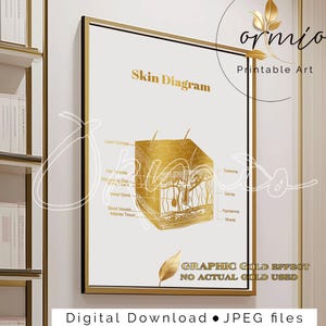 Printable Skin Diagram Poster | Skin Anatomy Wall Art for Estheticians ...