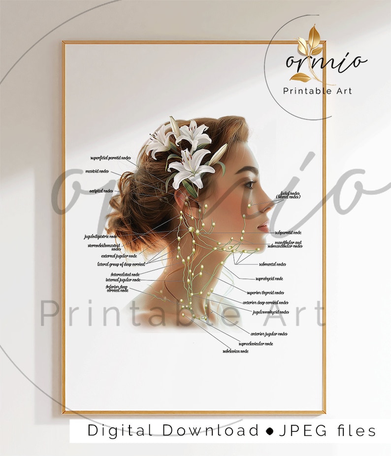 Face Lymphatic System Art Print, Massage Therapist Print, Esthetician ...