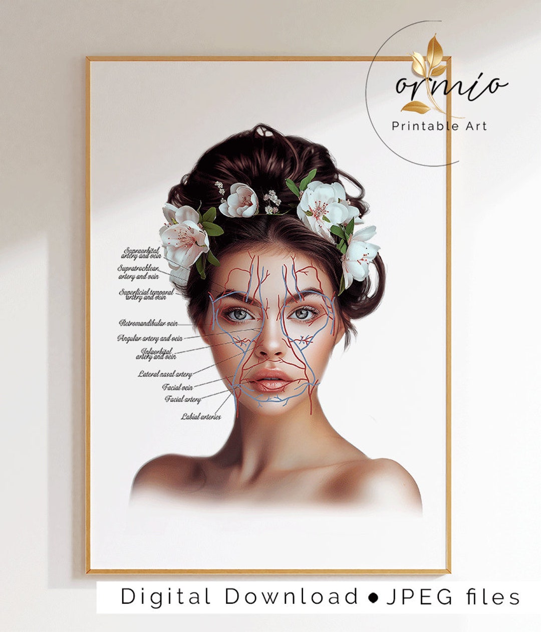 Facial Veins and Arteries Poster, Facial Anatomy Art, Esthetician Art ...