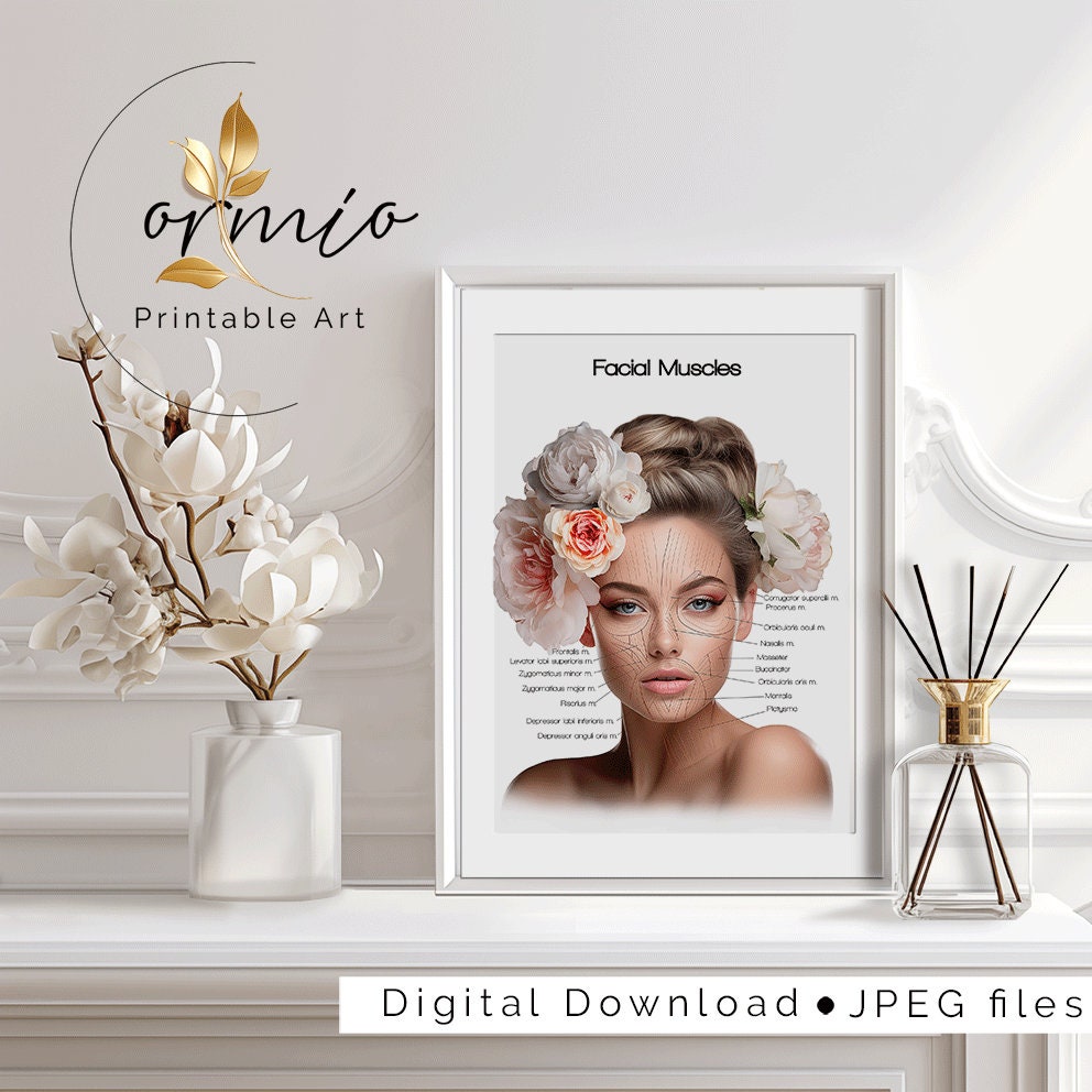 Anatomy Poster, Facial Muscles Print, Medical Wall Art, Beauty Clinic ...