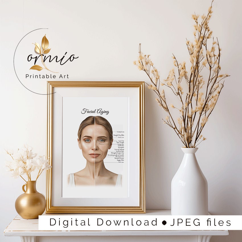 Facial Aging Poster, Skin Aging Art, Esthetician Decor, Med Spa Art ...