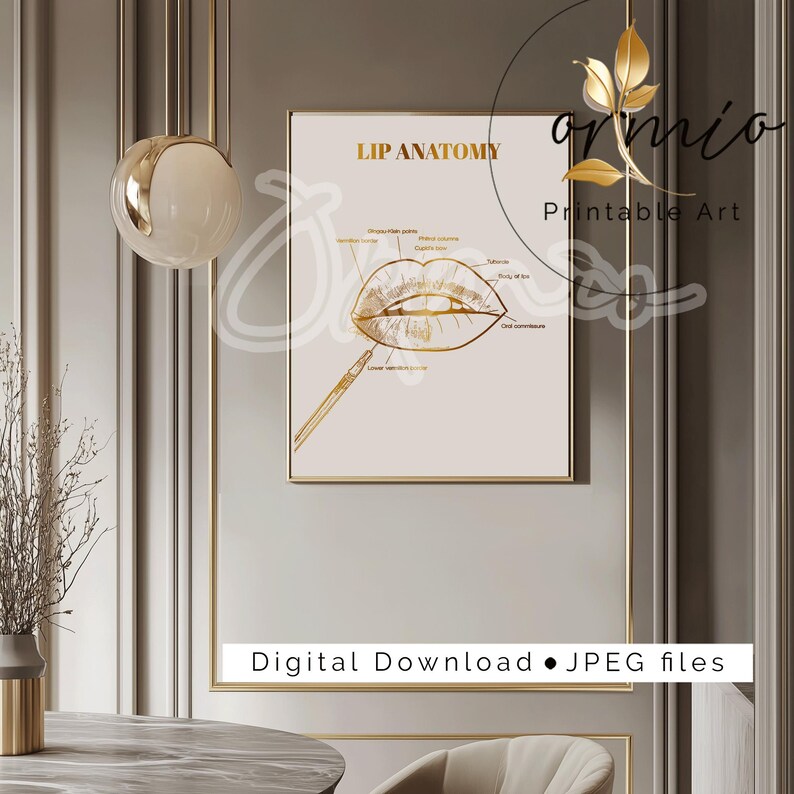 Lip Filler Poster Set: Aftercare, Journey, Anatomy (digital Download ...
