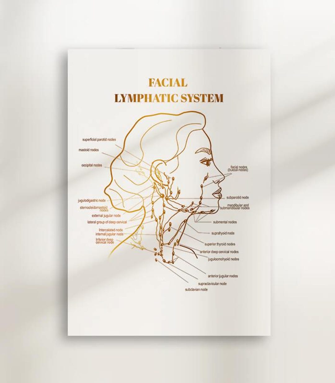 Printable Facial Lymphatic System Diagram | Gold Anatomy Art for ...