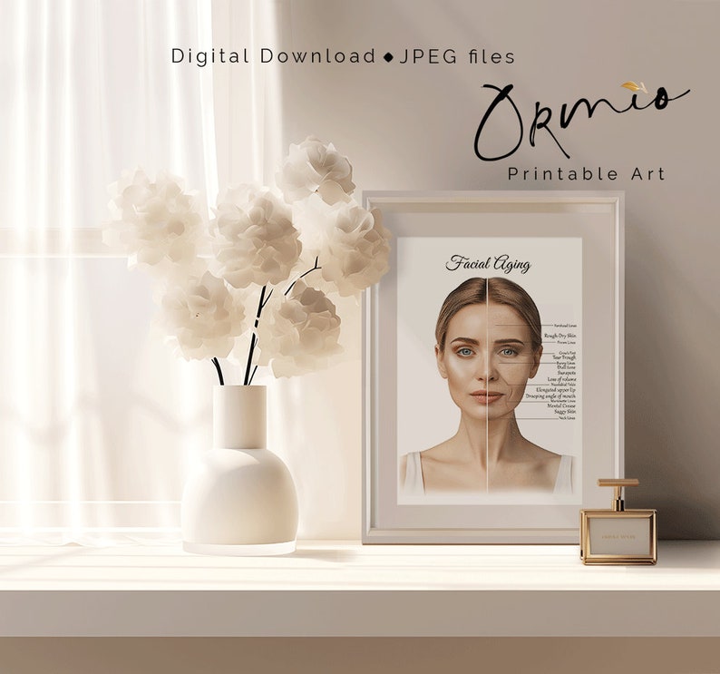 Facial Aging Poster, Skin Aging Art, Esthetician Decor, Med Spa Art ...