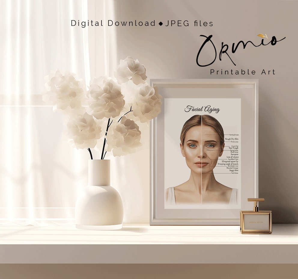 Facial Aging Poster, Skin Aging Art, Esthetician Decor, Med Spa Art ...