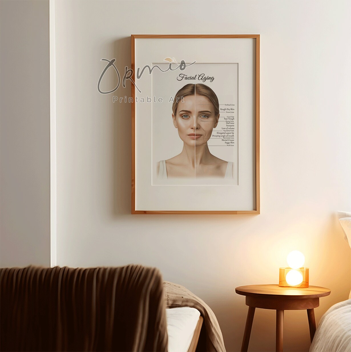 Facial Aging Poster: Skin Clinic Esthetician Decor (digital Download ...