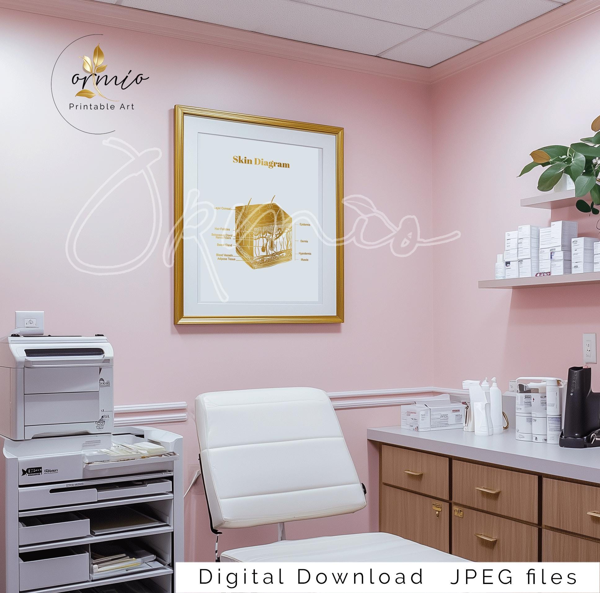 Skin Anatomy Diagram Poster: Gold Esthetician Decor (digital Download ...
