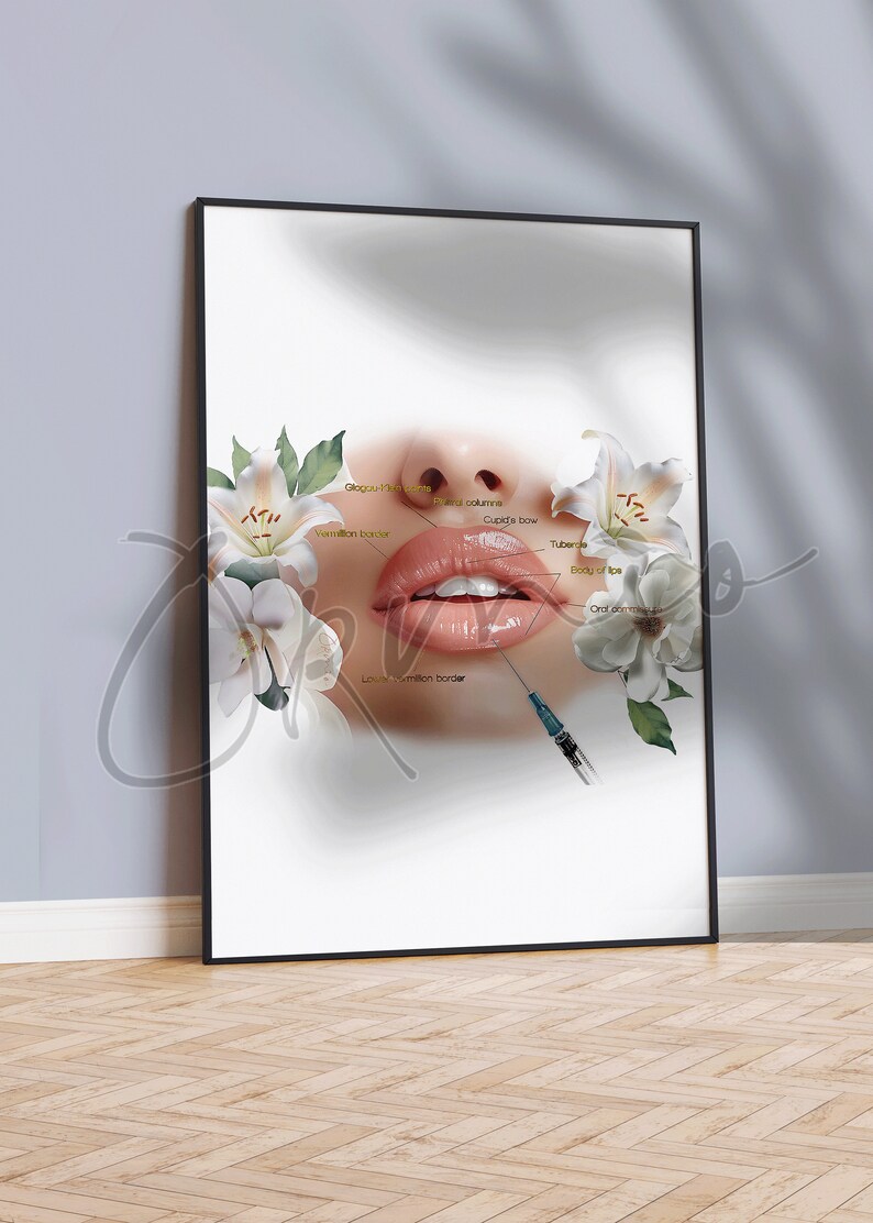Lip Anatomy Poster, Printable Lip Anatomy, Esthetician Office Decor ...