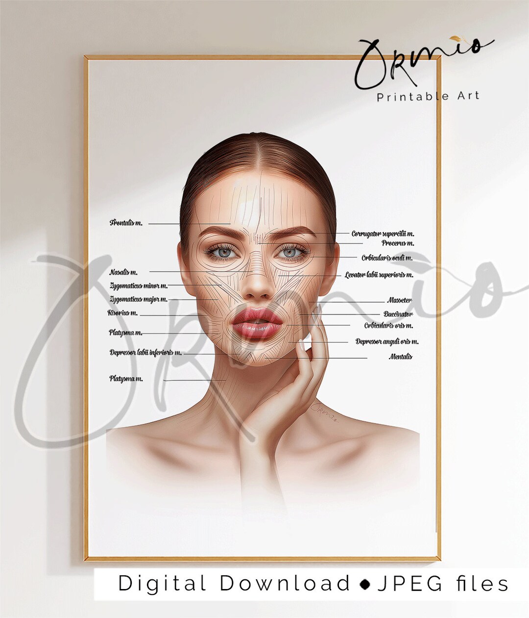 Facial Muscles Print, Esthetician Wall Art, Skincare Professional Art ...