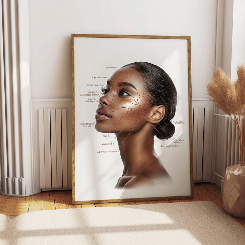 Facial Arteries Art Printable, Skin Clinic Decor, Medical Spa Decor ...