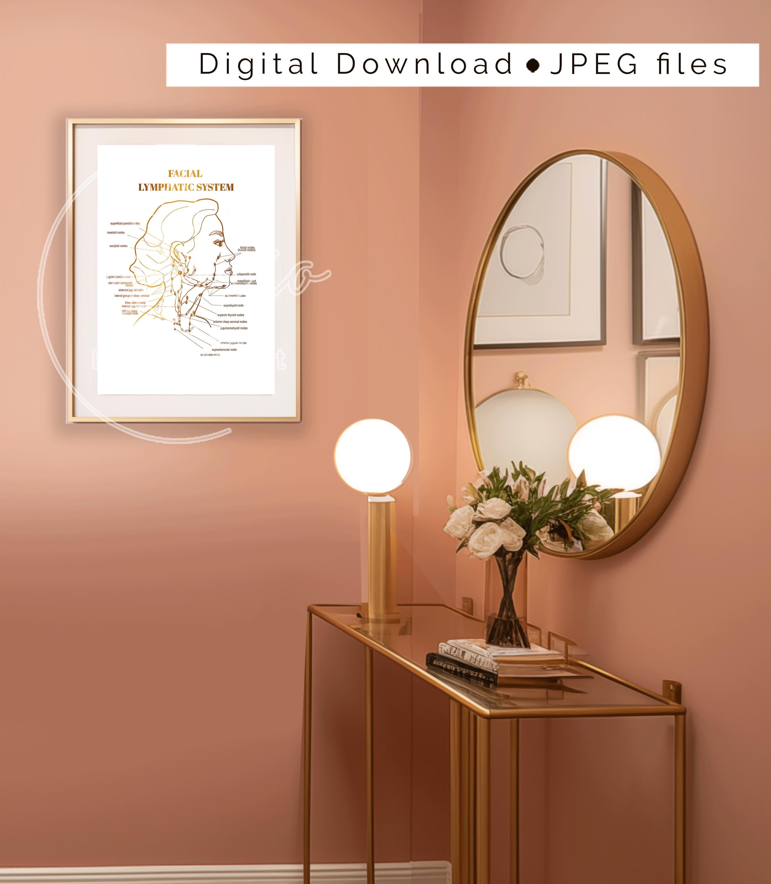Facial Lymphatic System Diagram: Gold Anatomy Art (digital Download) - Etsy