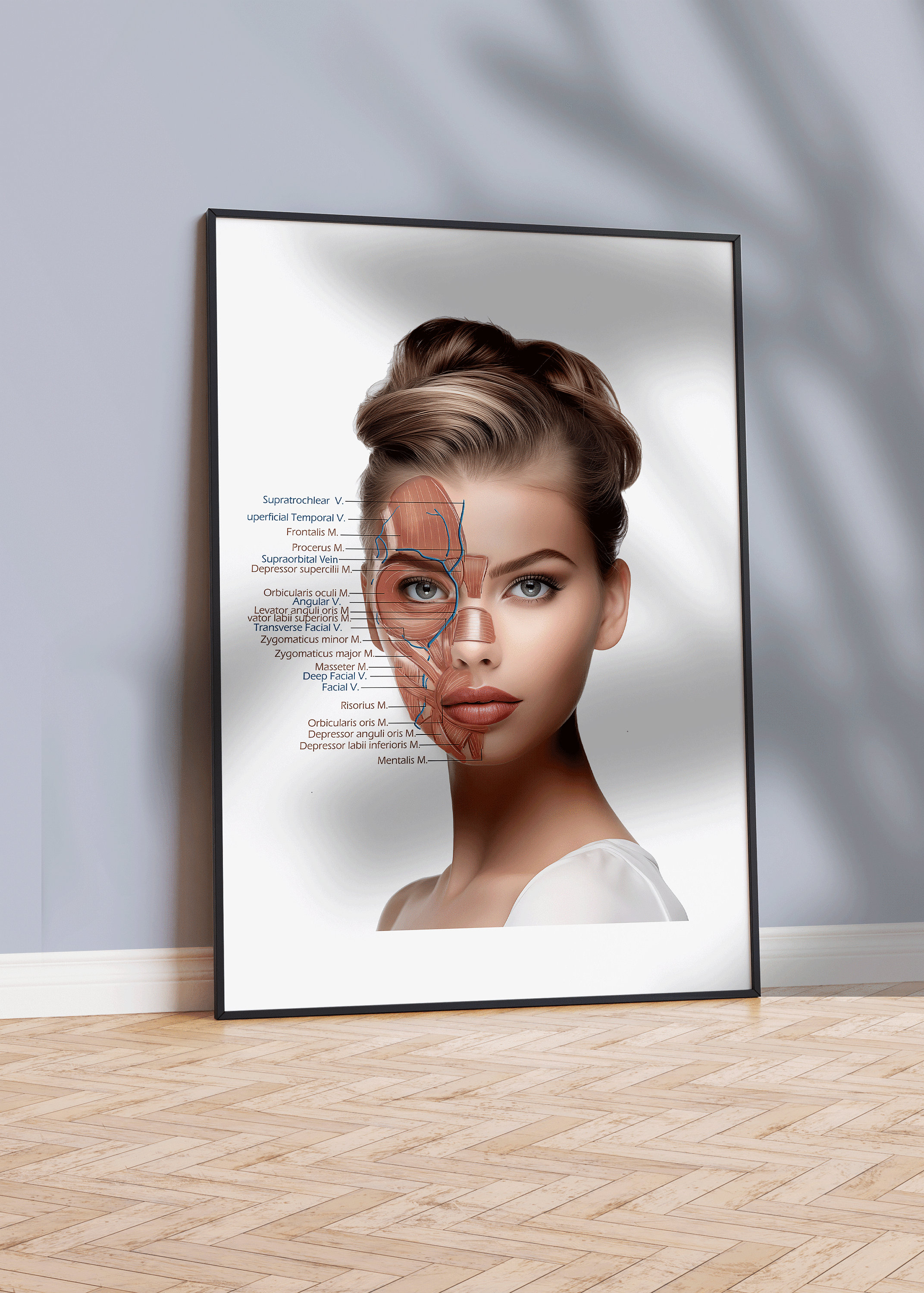 Facial Anatomy Art, Facial Muscles Art, Esthetician Art, Massage ...