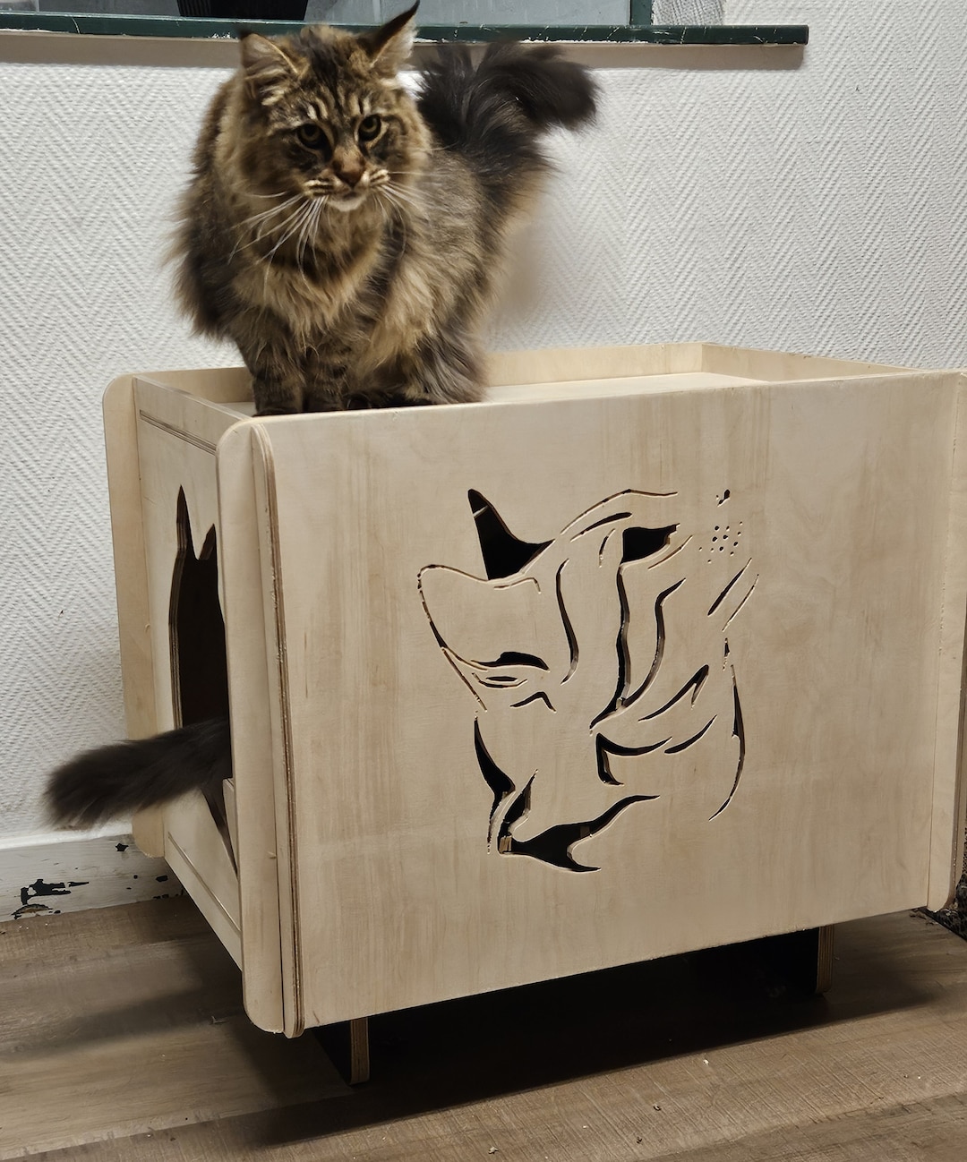 Large Cat Niche - Etsy