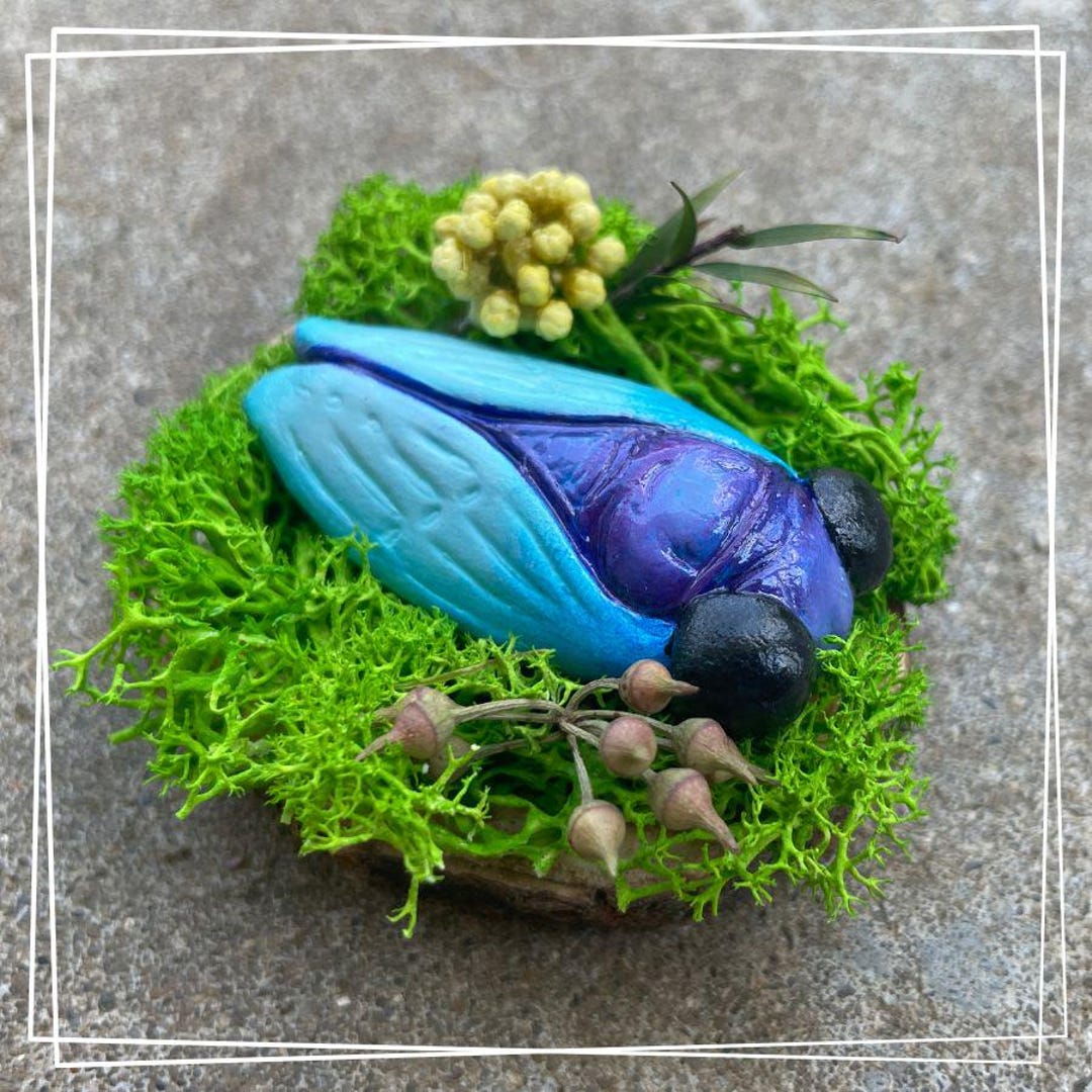Cicada Magnet | Polymer Clay Sculpture - Etsy