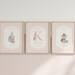 Pink Grandmillenial Nursery Baby Girl Nursery Wall Art Decorating Pink ...
