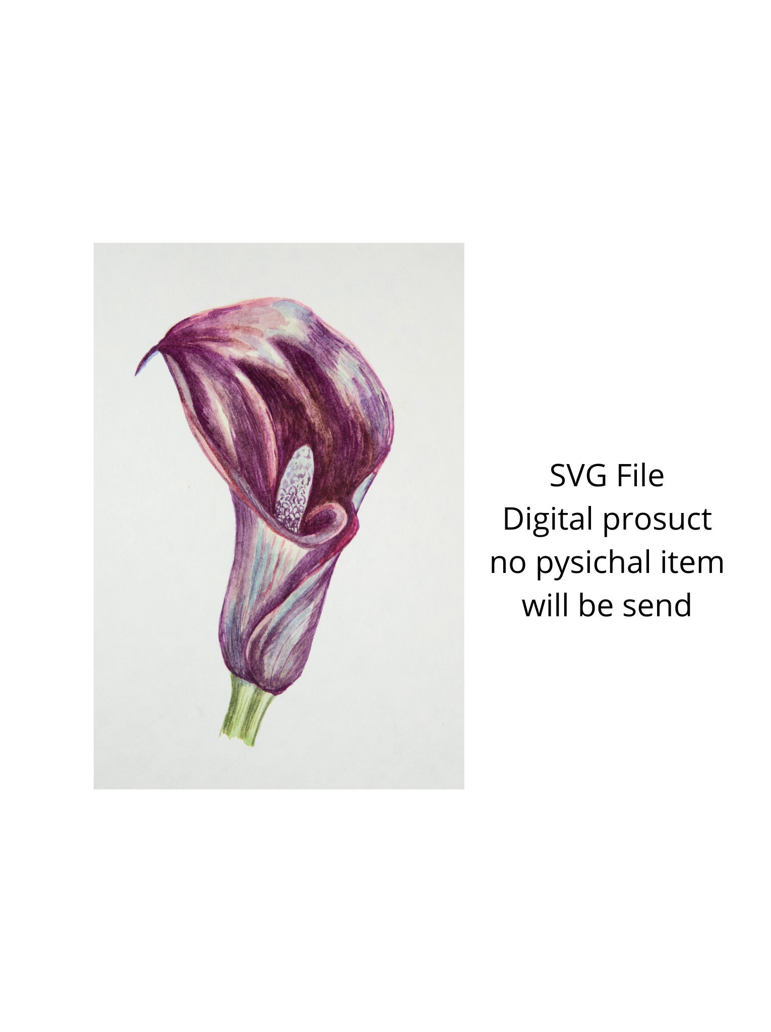 Wall Art Calla Flower SVG | Instant Download Digital SVG | Watercolor ...